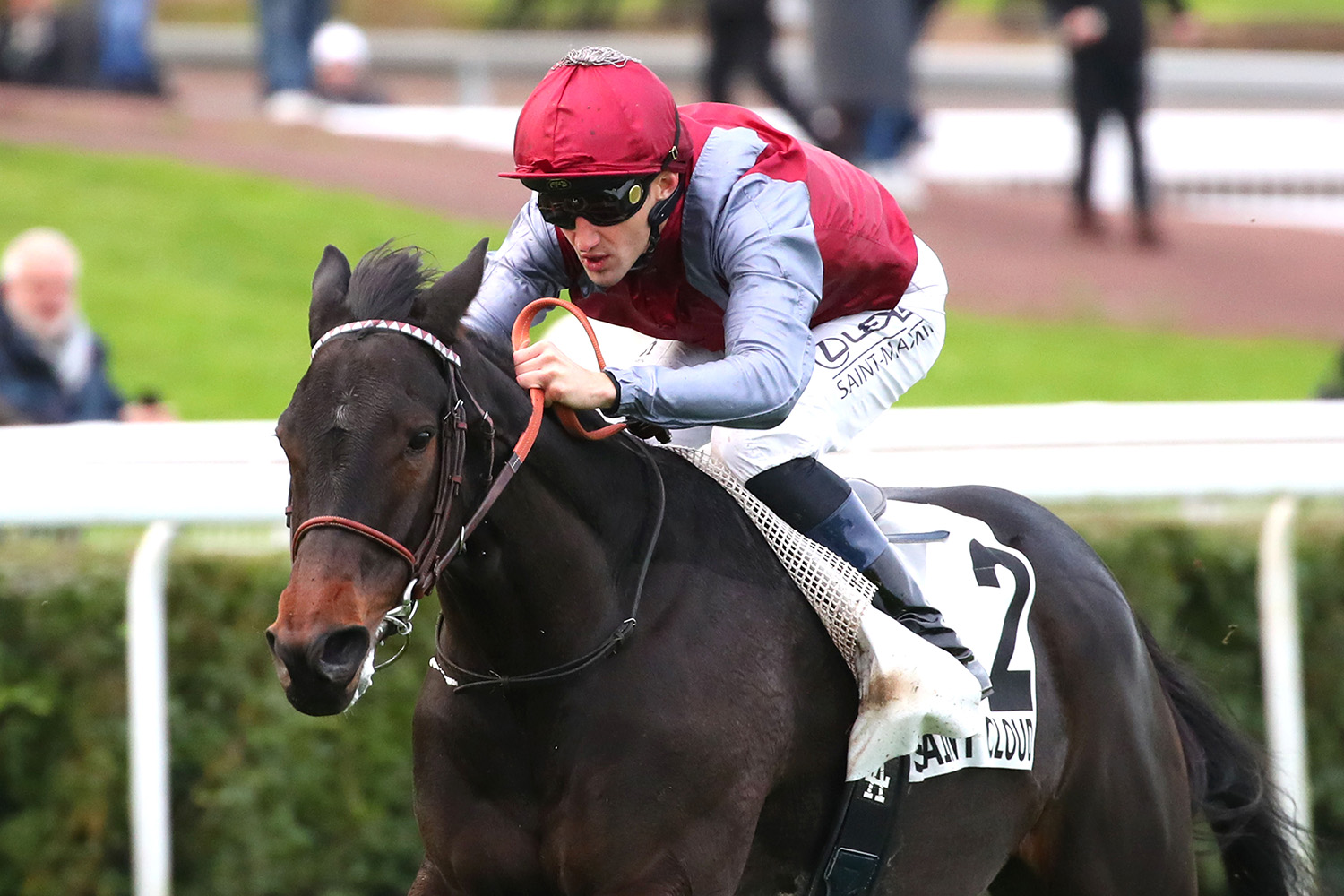 Grand Stars – Newsells Breeding Fund